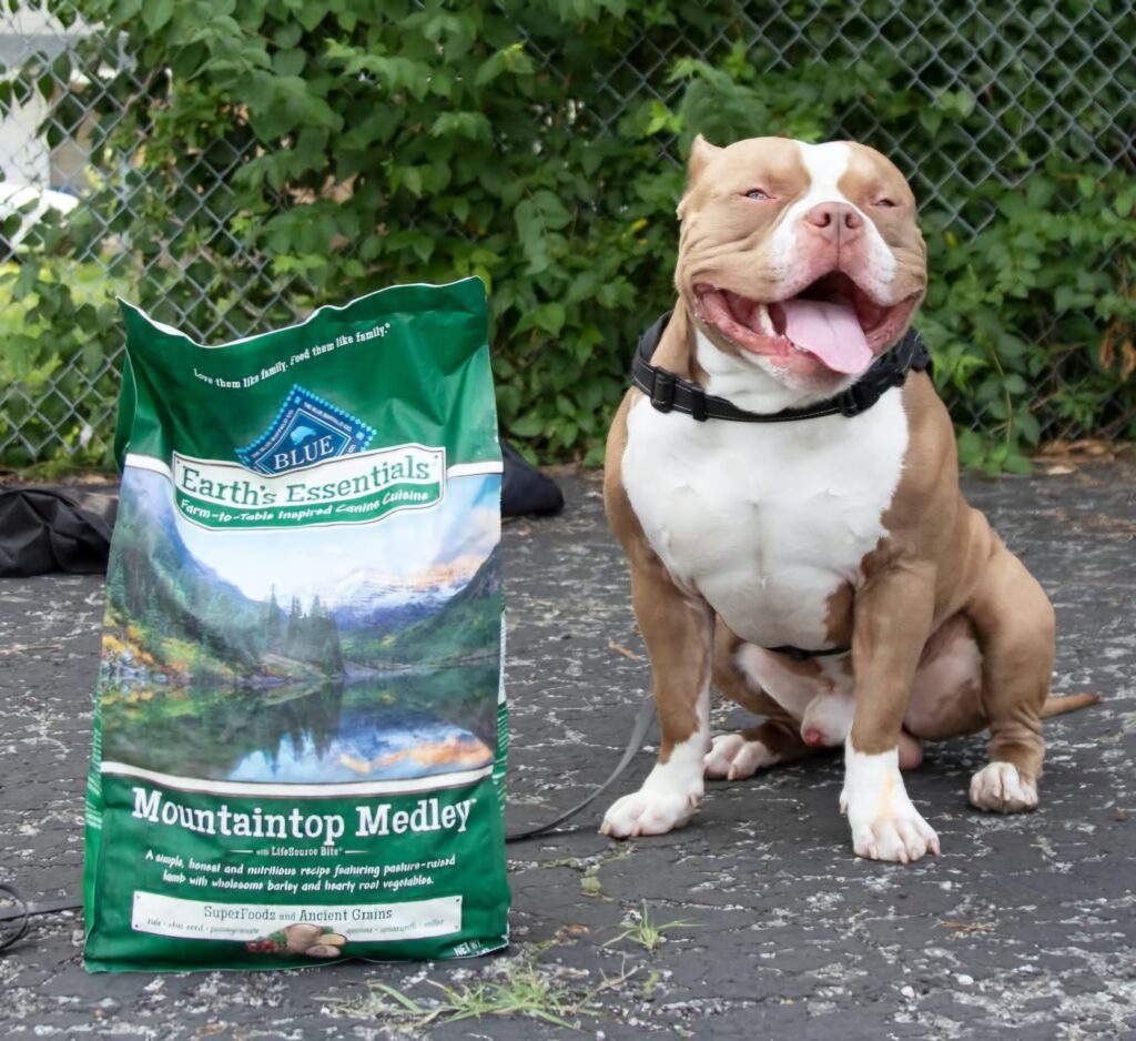 Tackling Pet Hunger in the Community – Ohio Animal Foundation